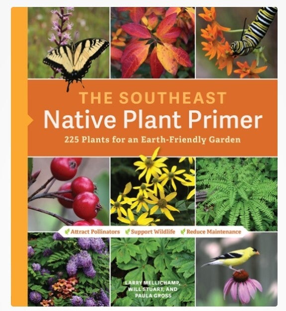 The Southeast Native Plant Primer | The GreeneHouse